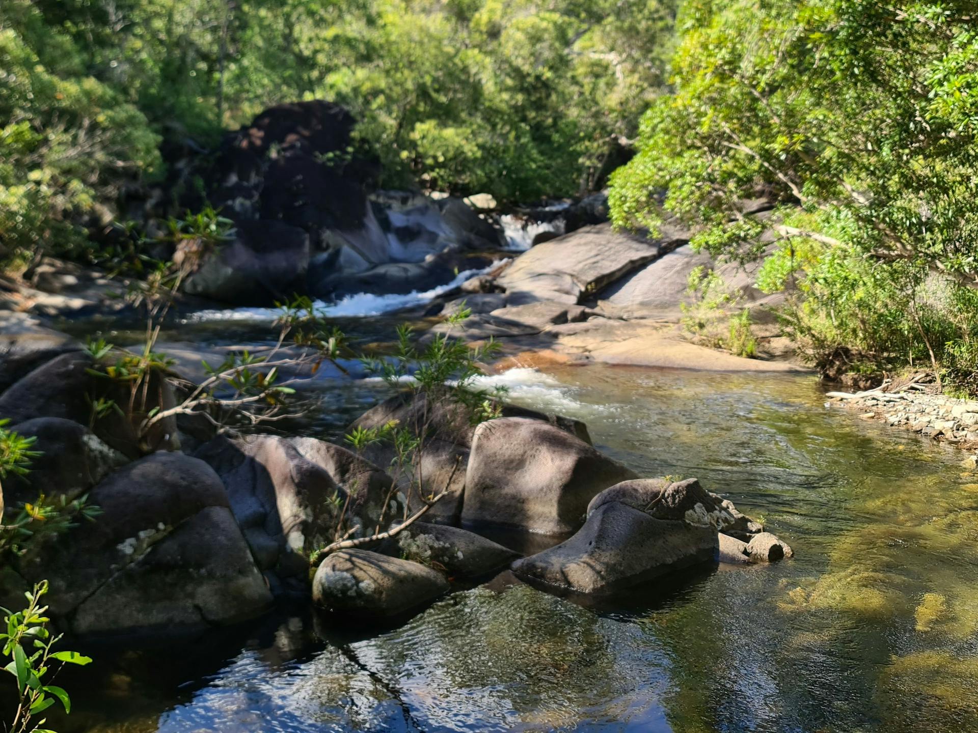 Scrubby Creek Trevethan Falls in Rossville - The Fold: Your Guide to ...