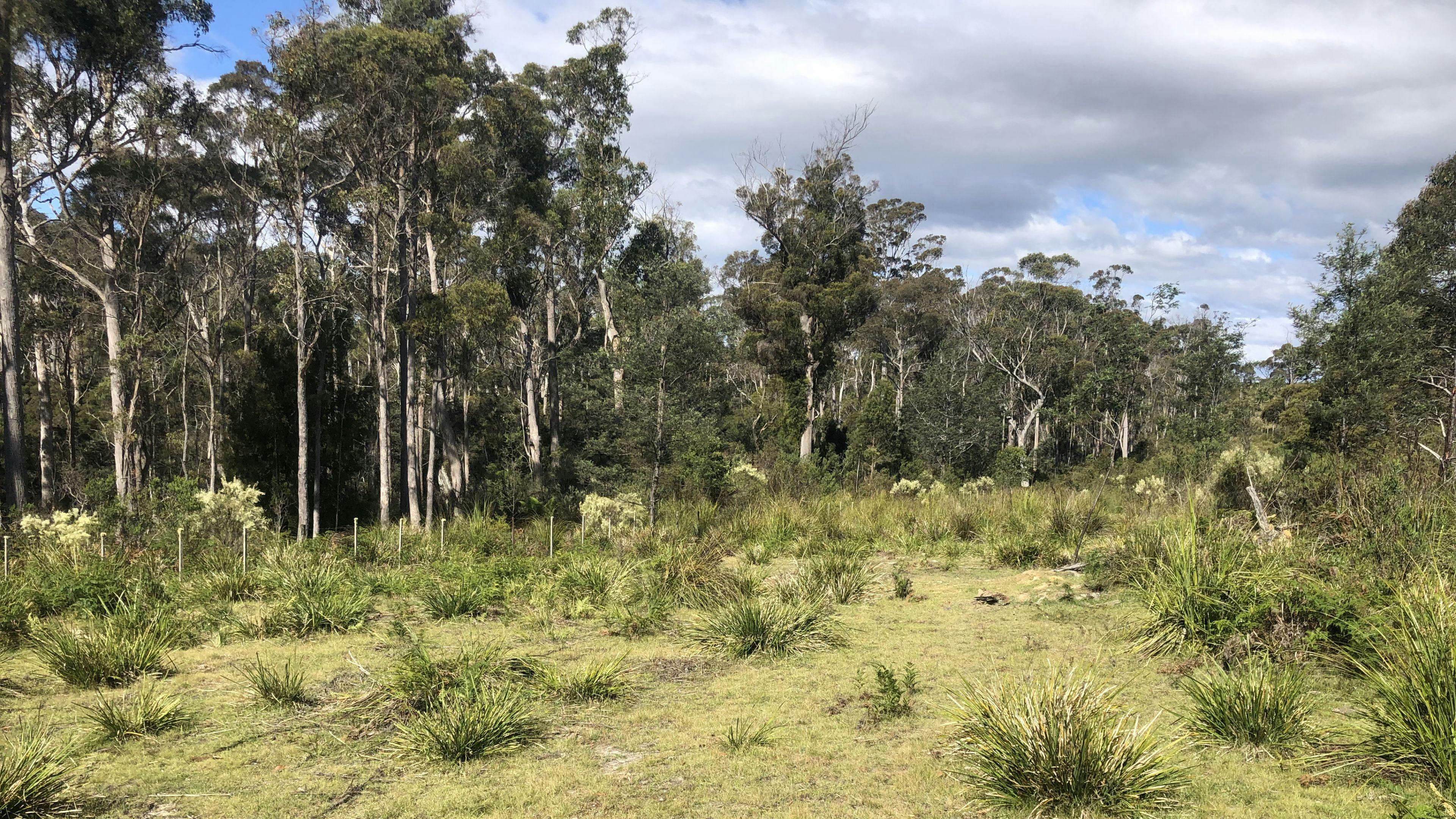 Penpol Park | All accommodation | Discover Tasmania