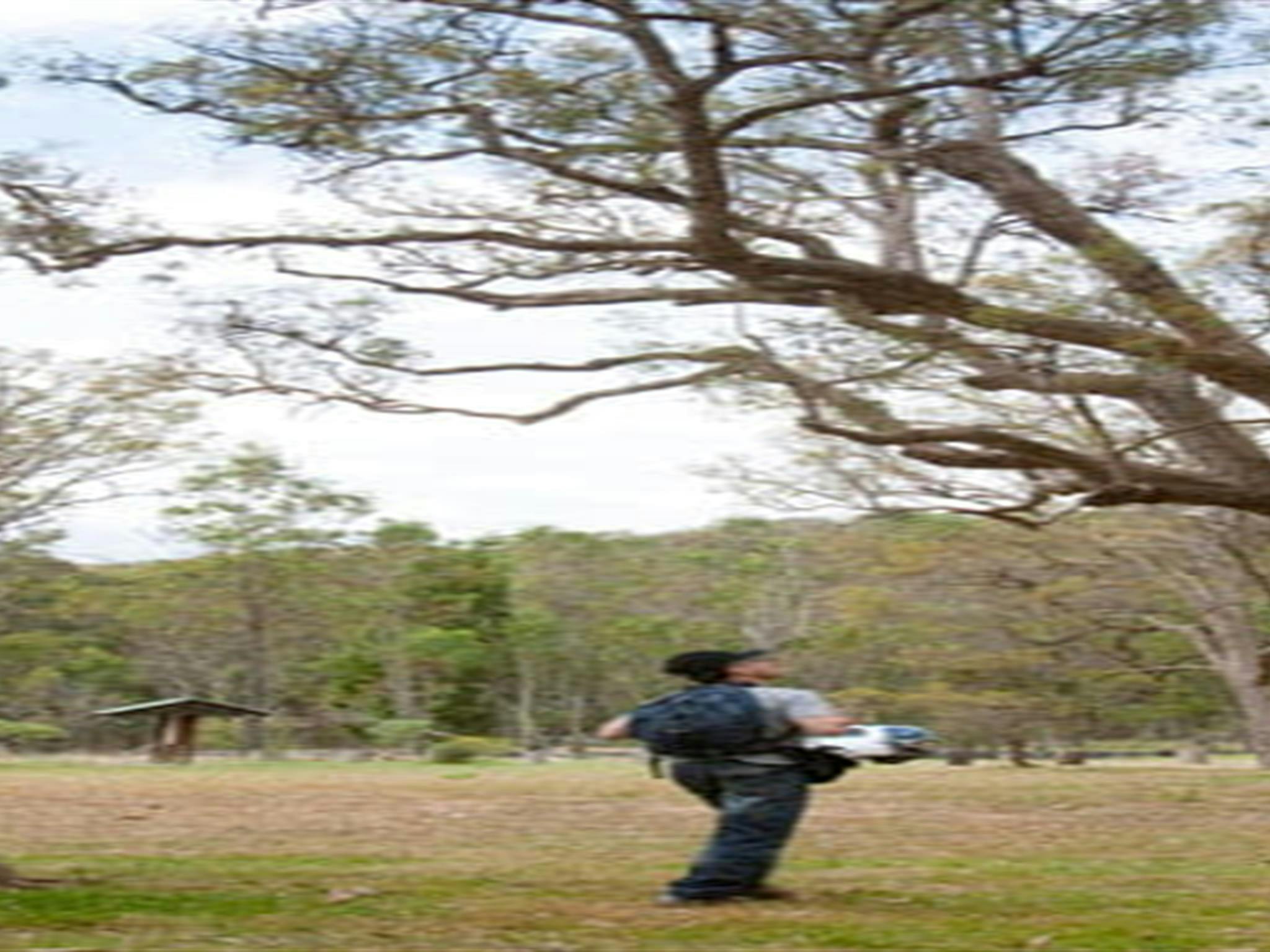 Moolarben picnic area | NSW Holidays & Accommodation, Things to Do ...