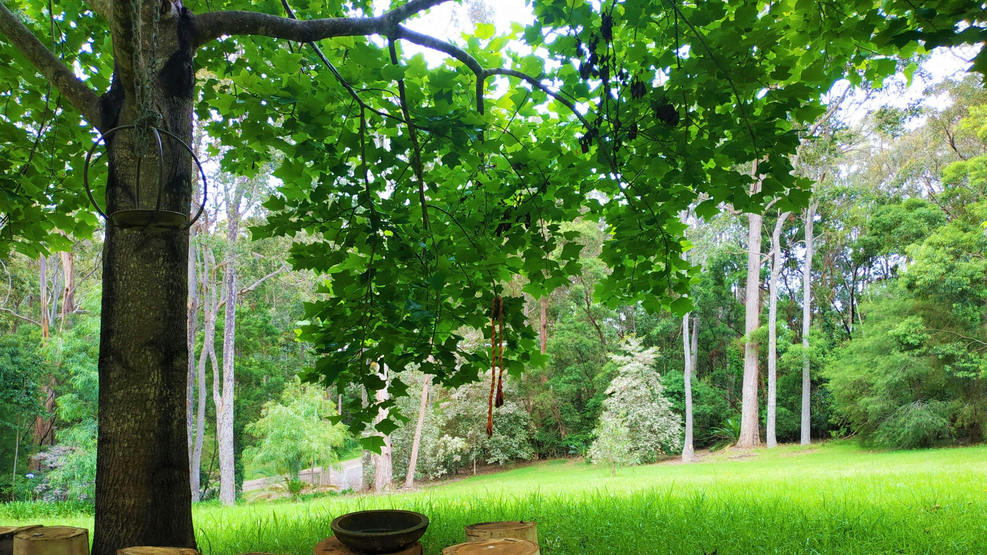 Narooma Paradise | NSW Holidays & Accommodation, Things to Do ...