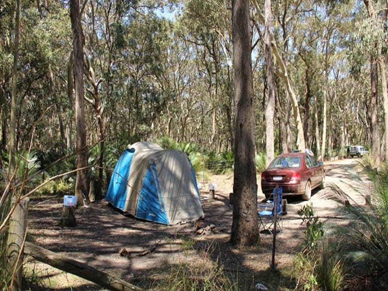 North Head campground | NSW Holidays & Accommodation, Things to Do ...