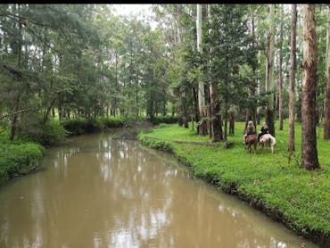 Nebo | Destination-information | Queensland