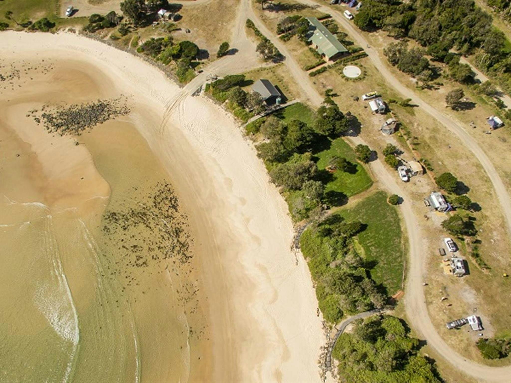 Point Plomer campground in Limeburners Creek - The Fold: Your Guide to ...