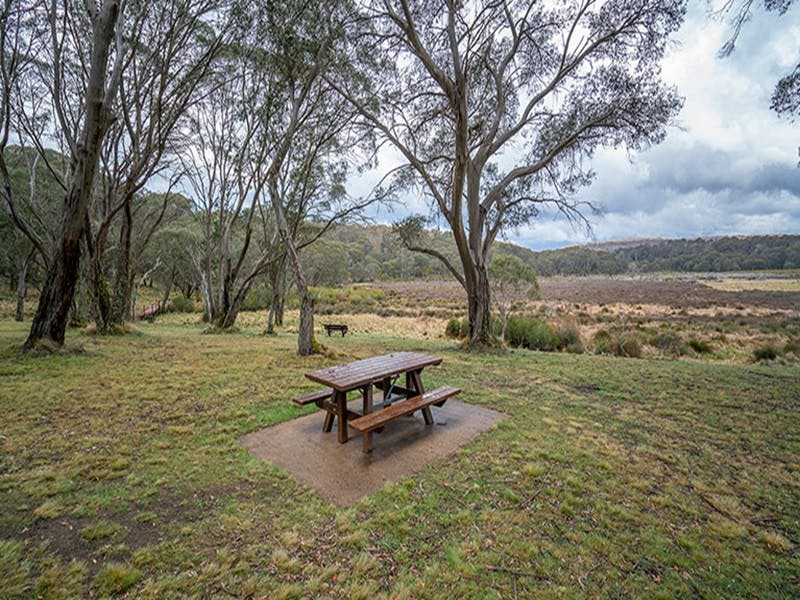 Polblue campground and picnic area | NSW Holidays & Accommodation ...