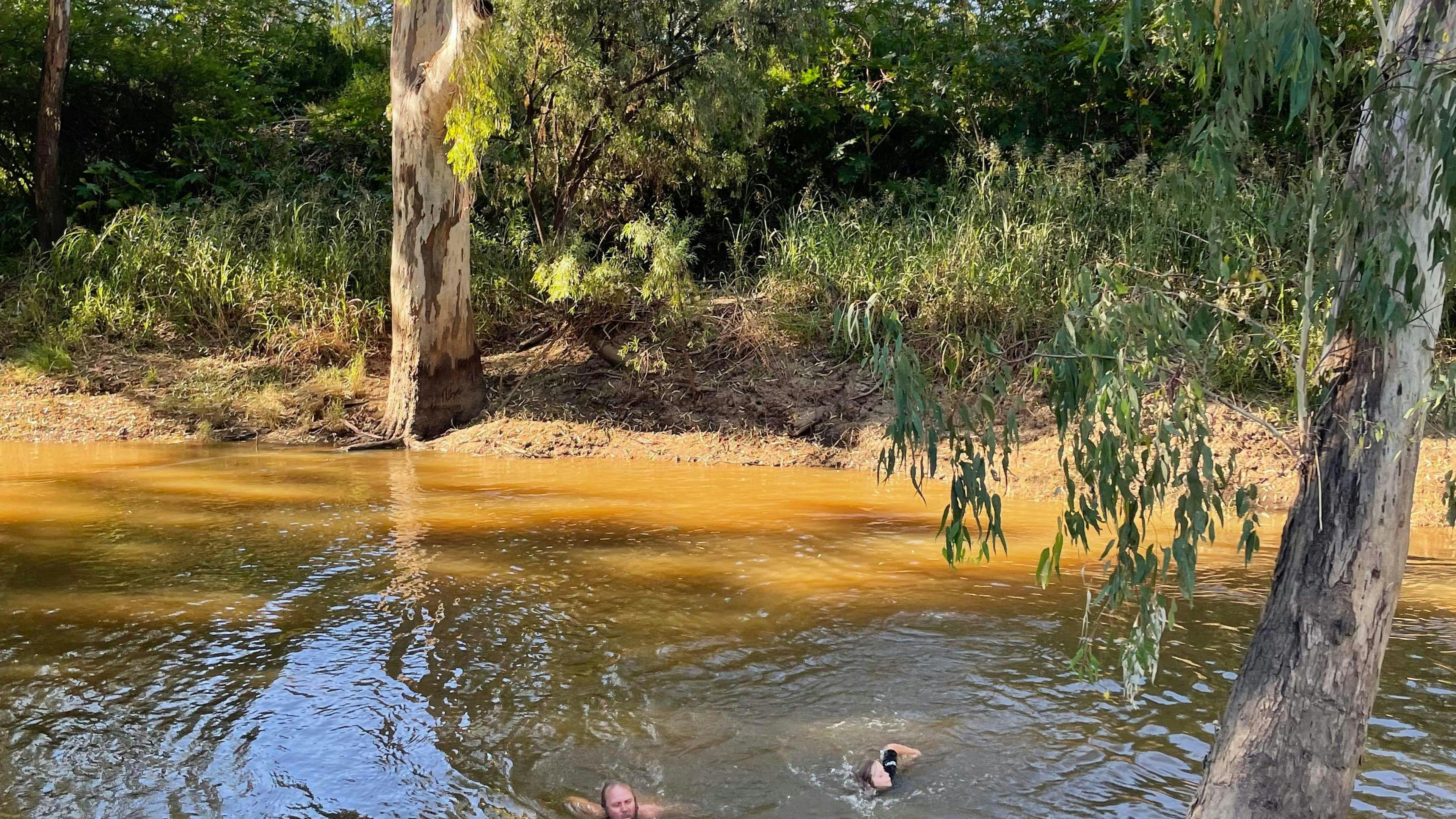 プリンギーズ ファーム バルナガスク | NSWの休日と宿泊施設、アクティビティ、アトラクション、イベント