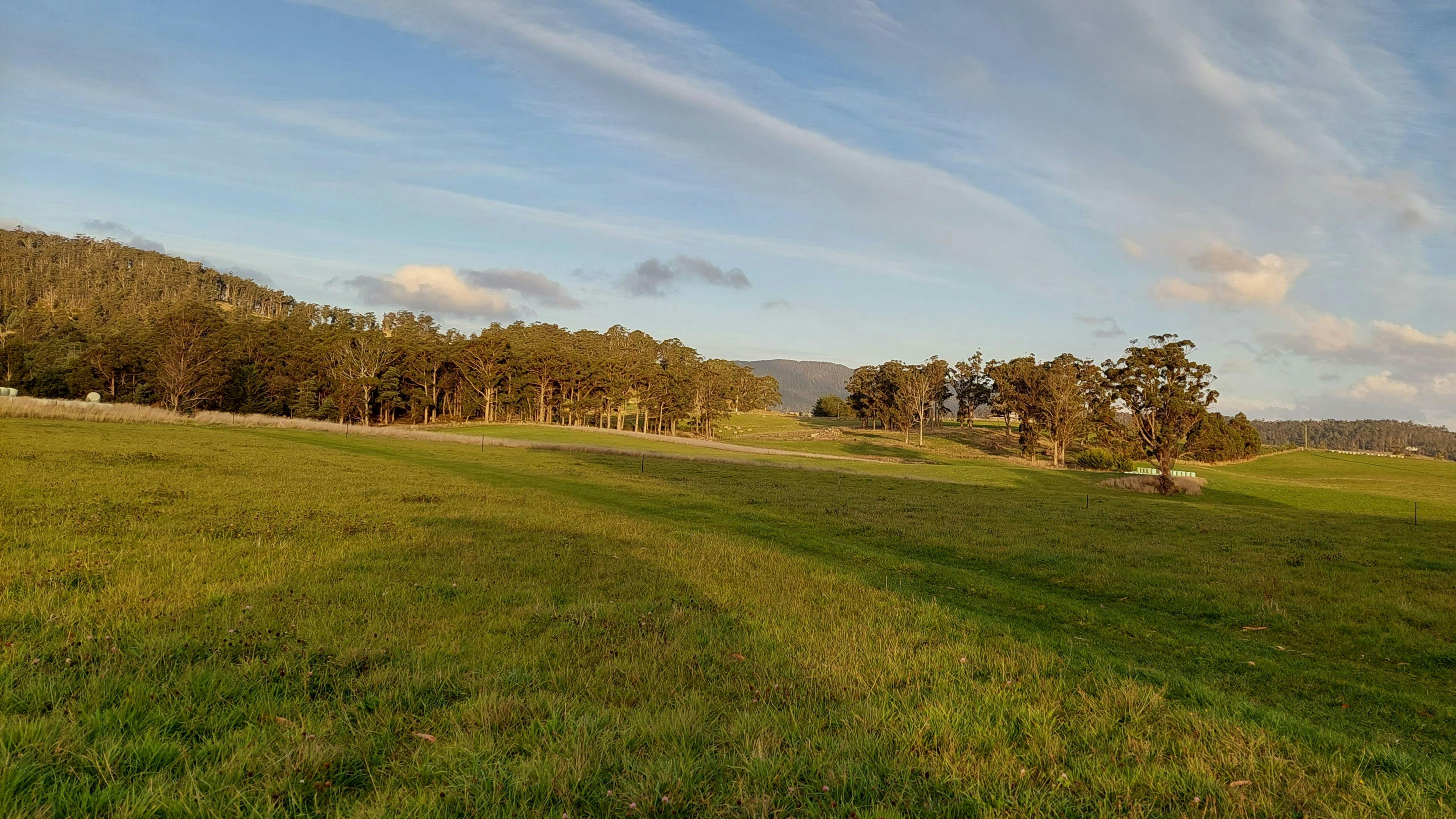 Rex's old Meatworks - Hobart and Beyond