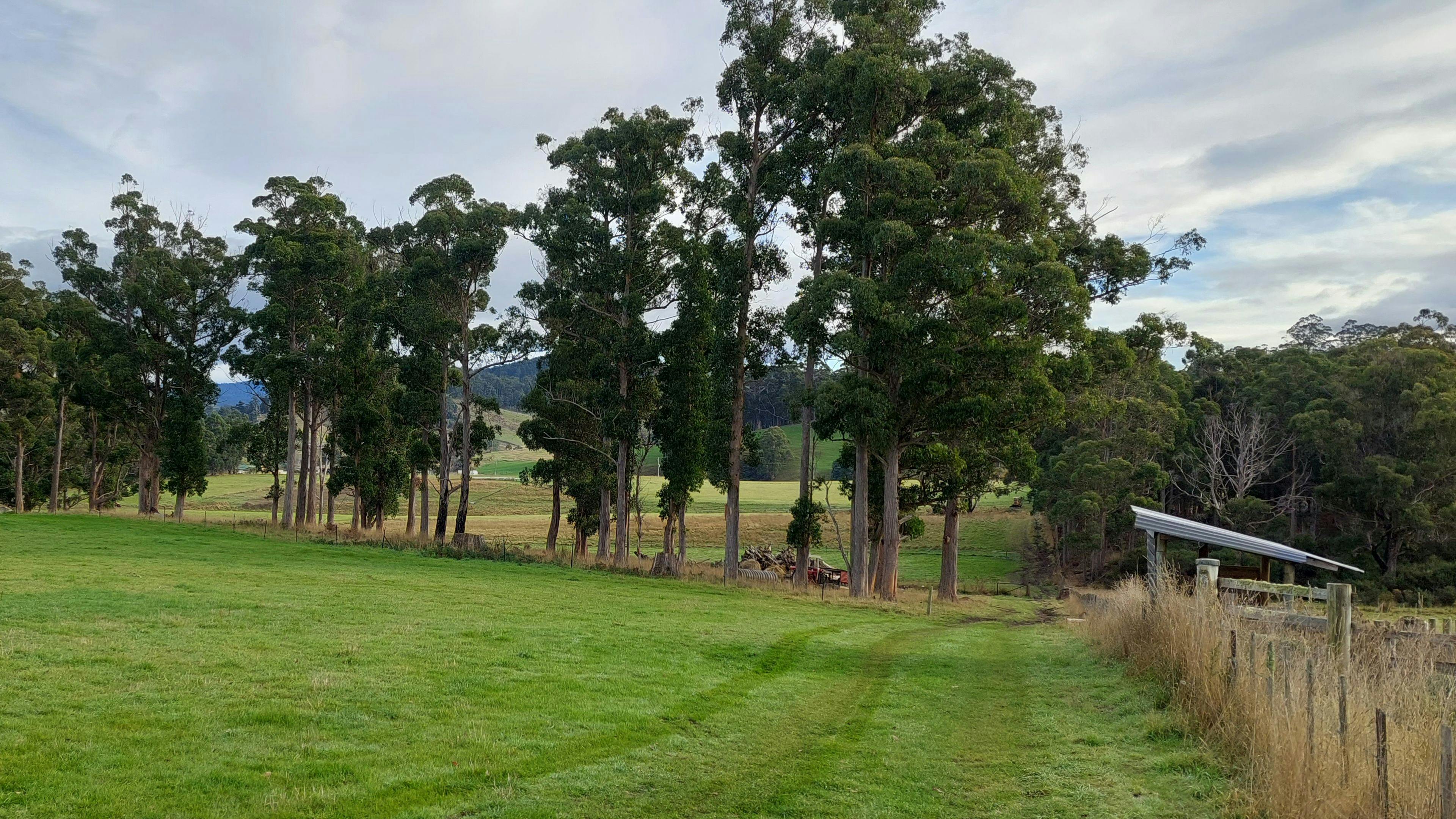 Rex's old Meatworks - Hobart and Beyond