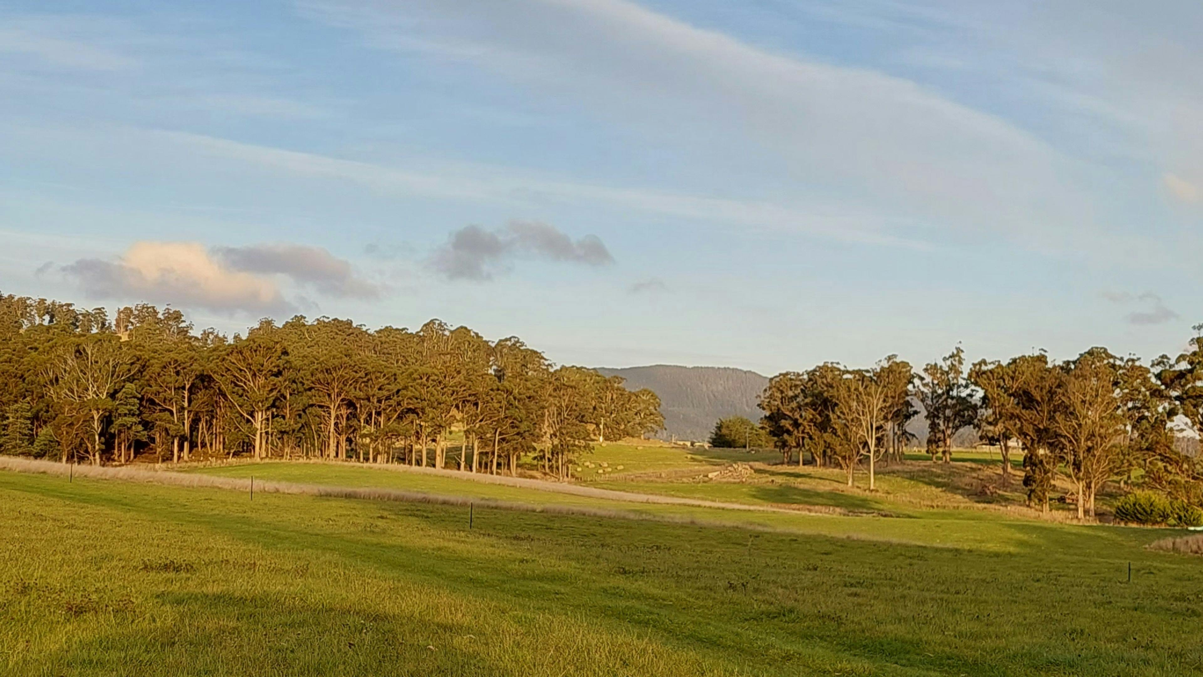 Rex's old Meatworks - Hobart and Beyond