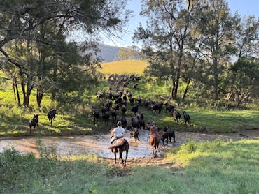 Fernvale Country Markets | Events | Queensland