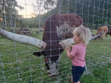 Kin Kin | Destination-information | Queensland