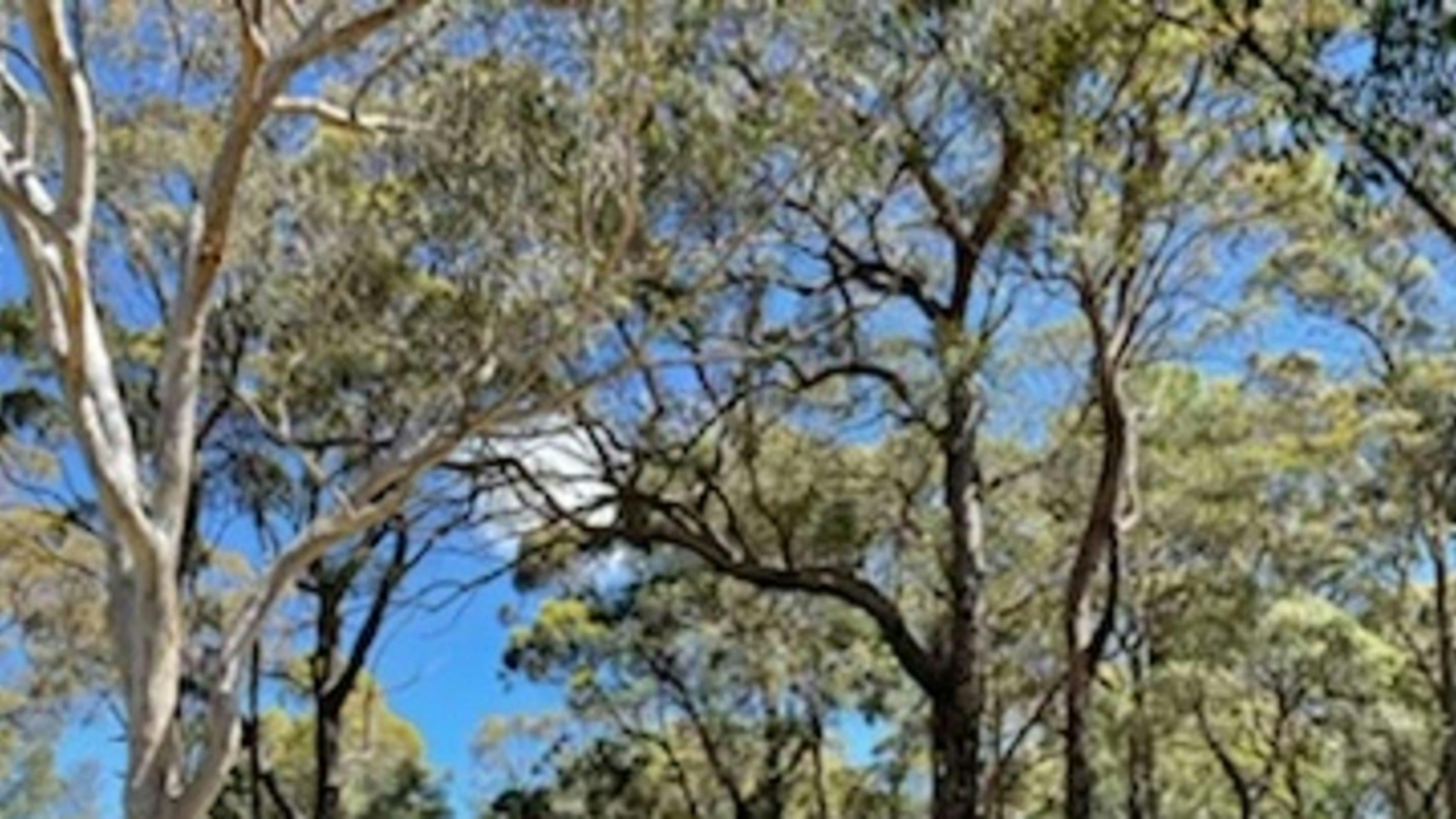 The Coastal Ranch - Shoalhaven - South Coast NSW