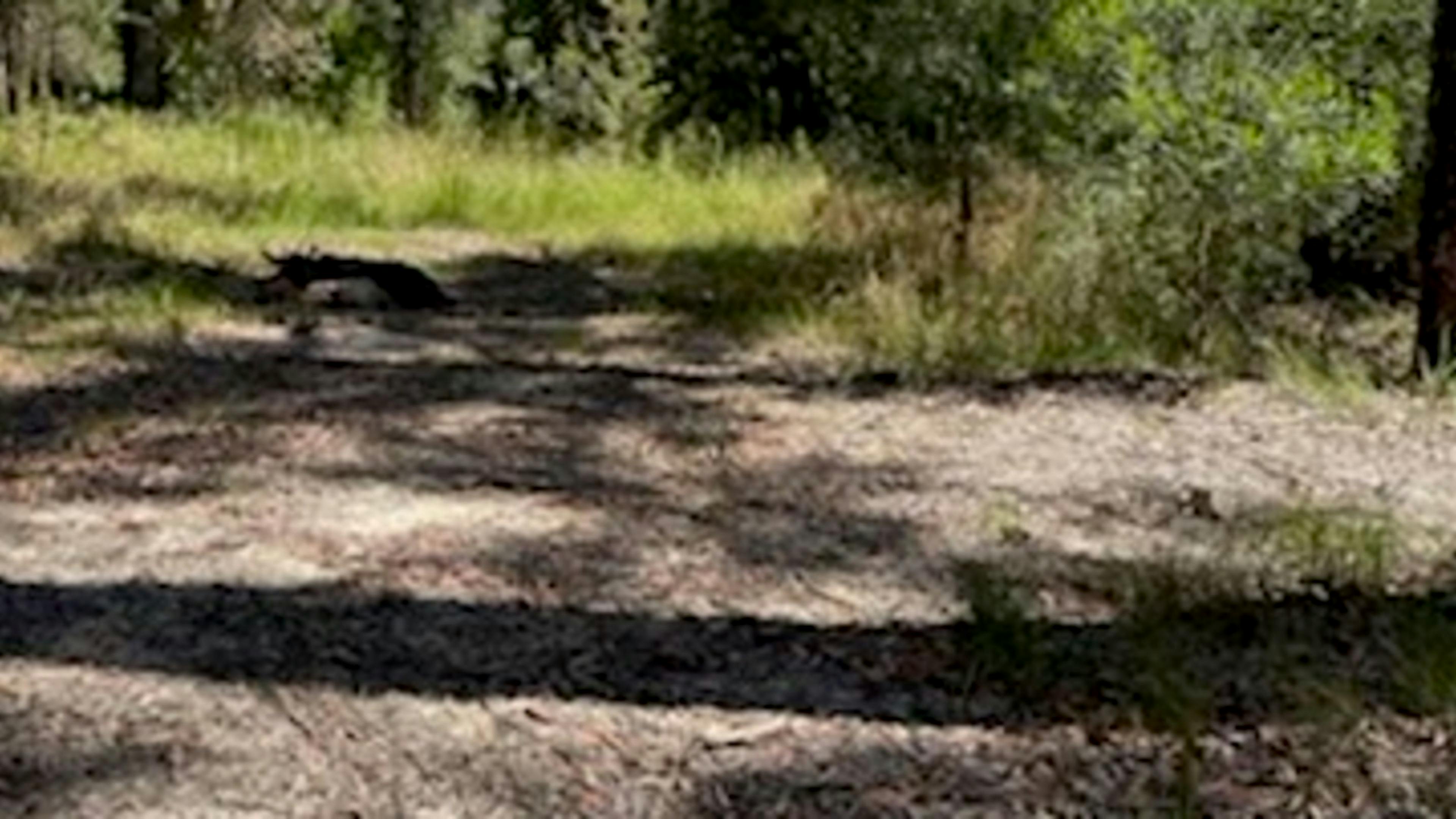 The Coastal Ranch - Shoalhaven - South Coast NSW