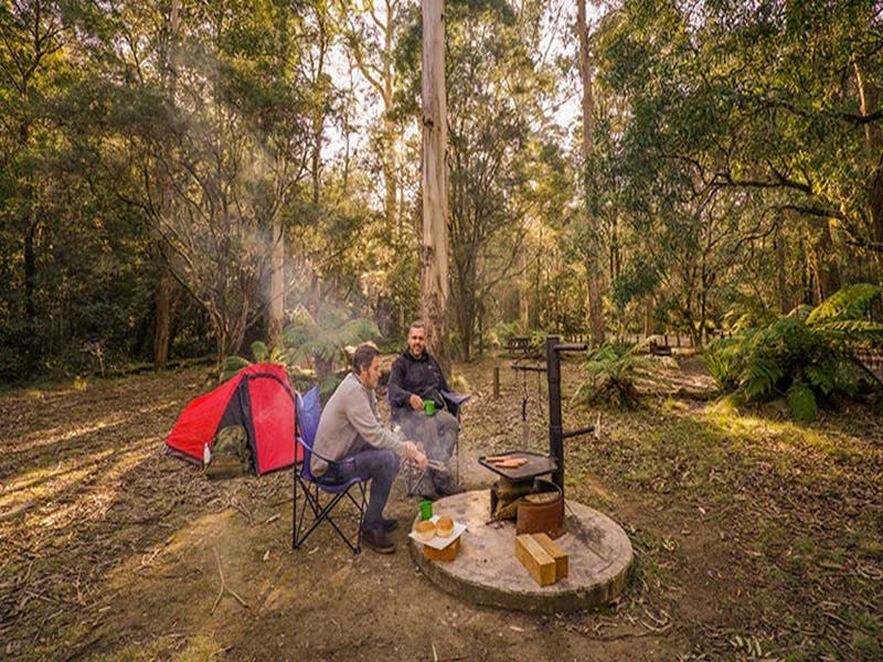 Thungutti campground | NSW Holidays & Accommodation, Things to Do ...