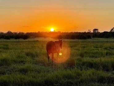 Mon Repos | Destination-information | Queensland