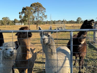 Nobby | Destination-information | Queensland