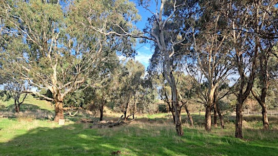 Waitpinga Ridge | Creek Camp Site - Waitpinga, Accommodation | So...