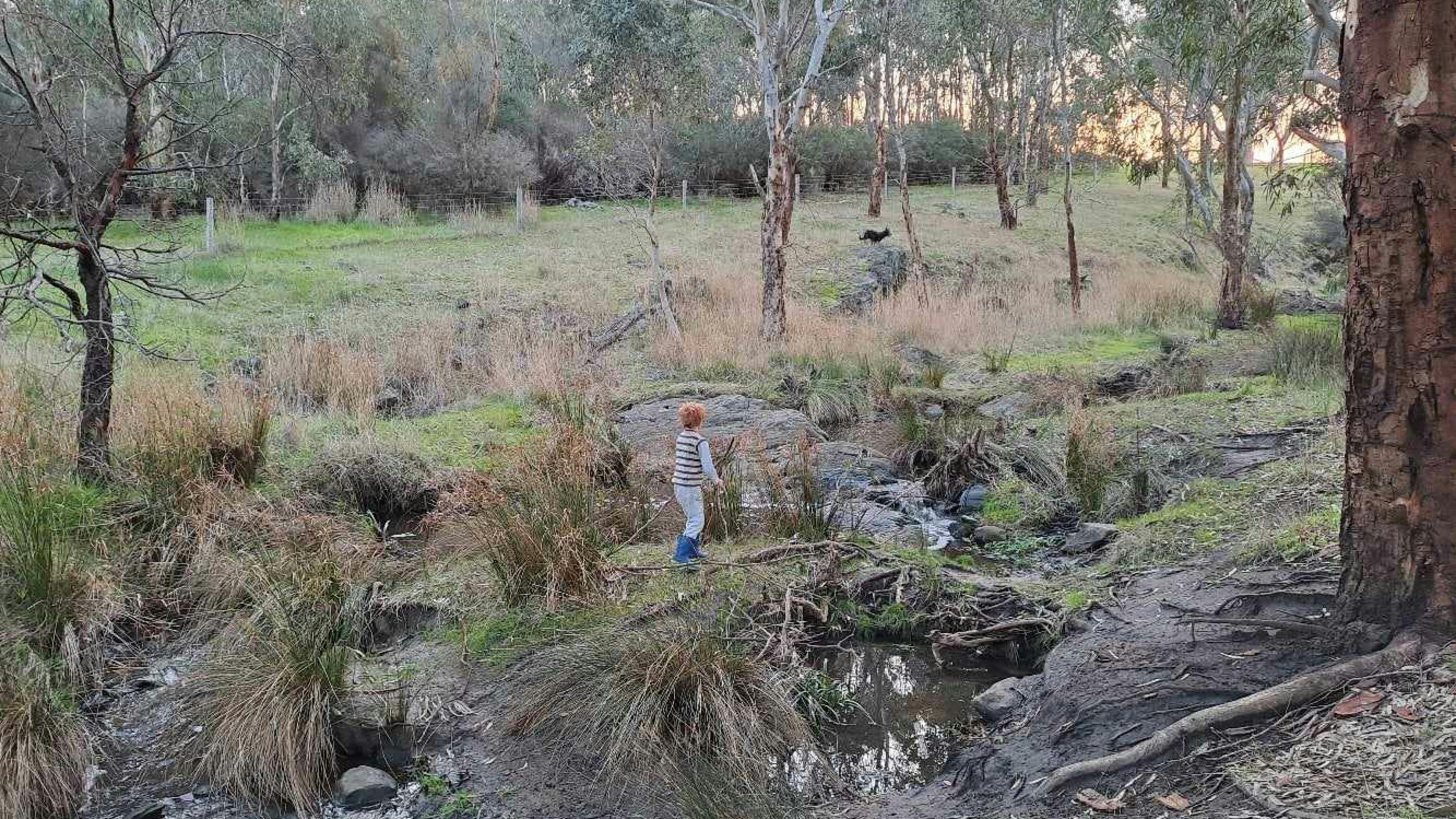 Waitpinga Ridge | Creek Camp Site - Waitpinga, Accommodation | So...