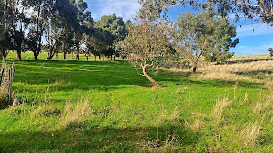 Waitpinga Ridge | Creek Camp Site - Waitpinga, Accommodation | So...