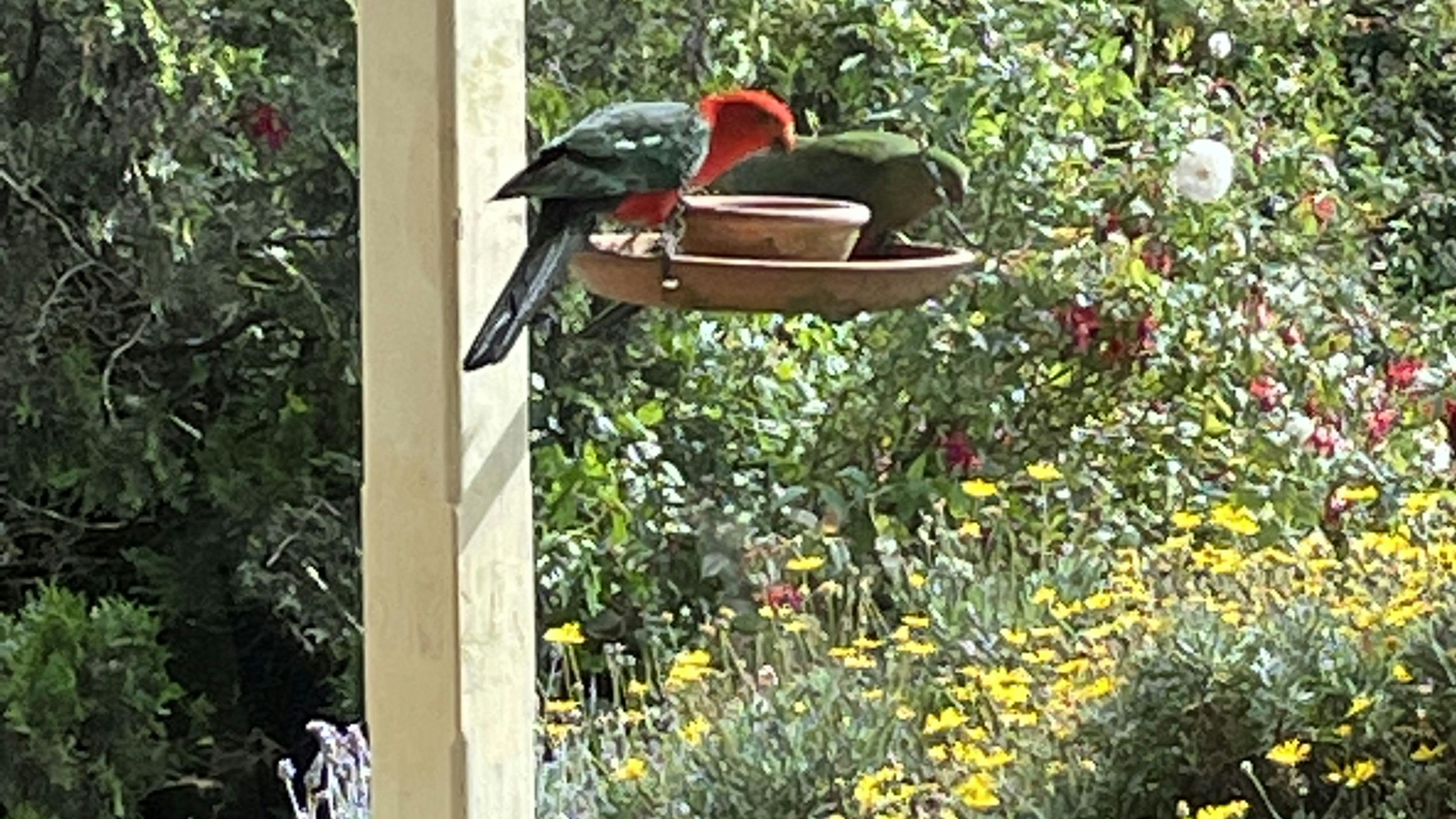 Wingfield Farm | NSW Holidays & Accommodation, Things to Do ...