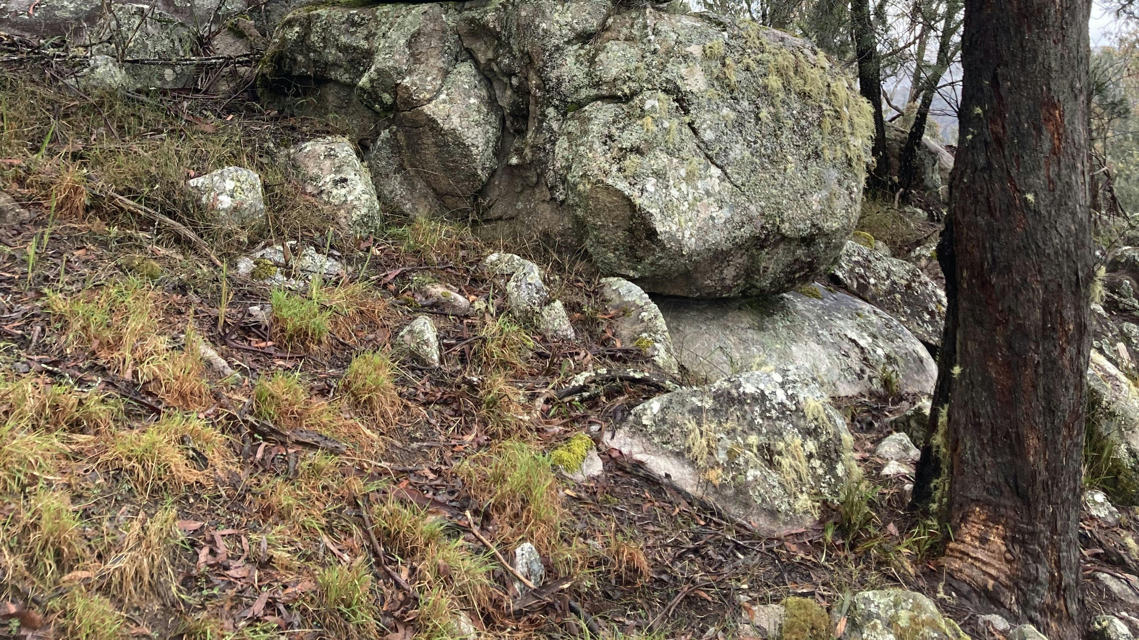 Wingfield Farm | NSW Holidays & Accommodation, Things to Do ...