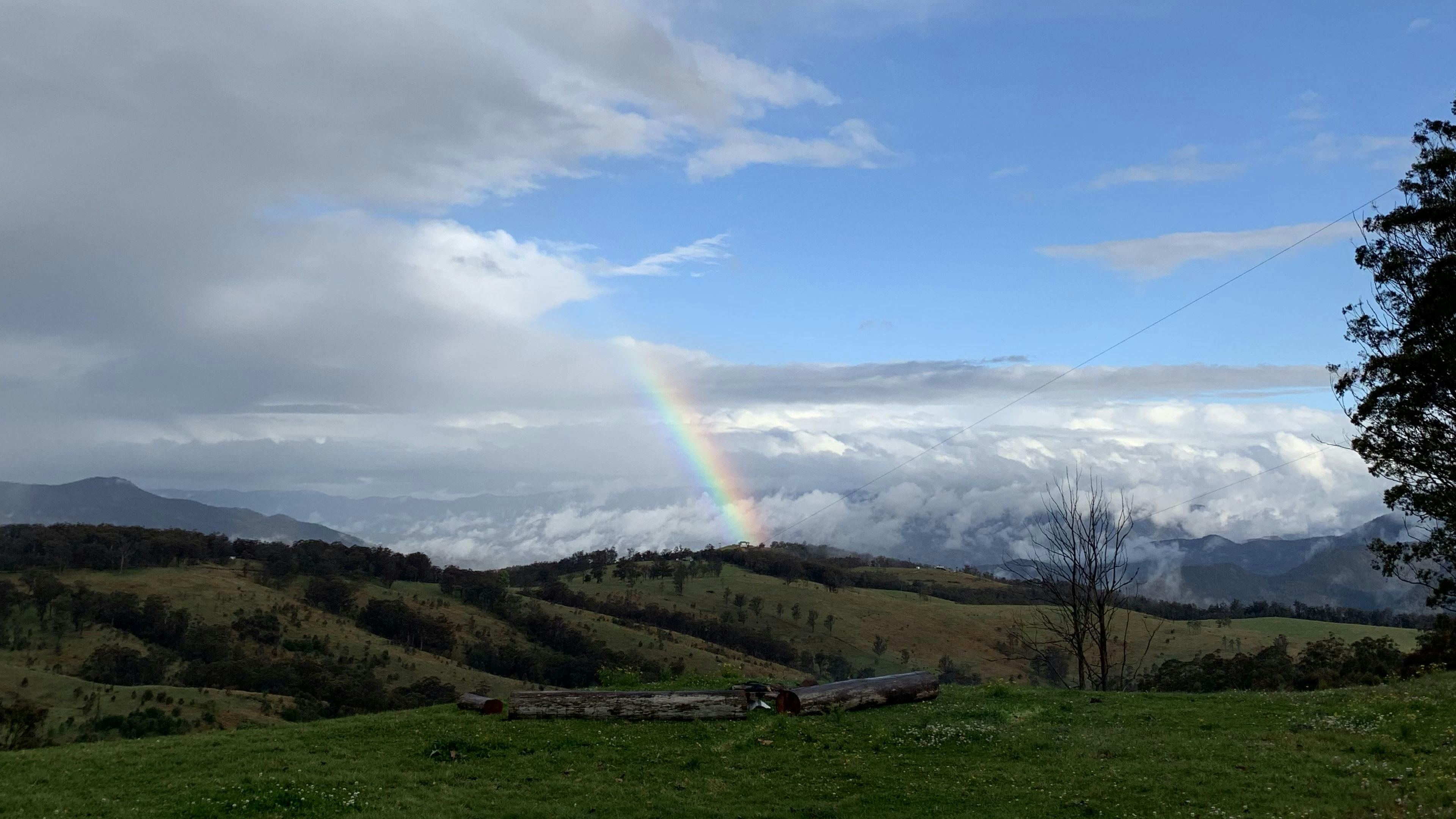 Wingfield Farm | NSW Holidays & Accommodation, Things to Do ...