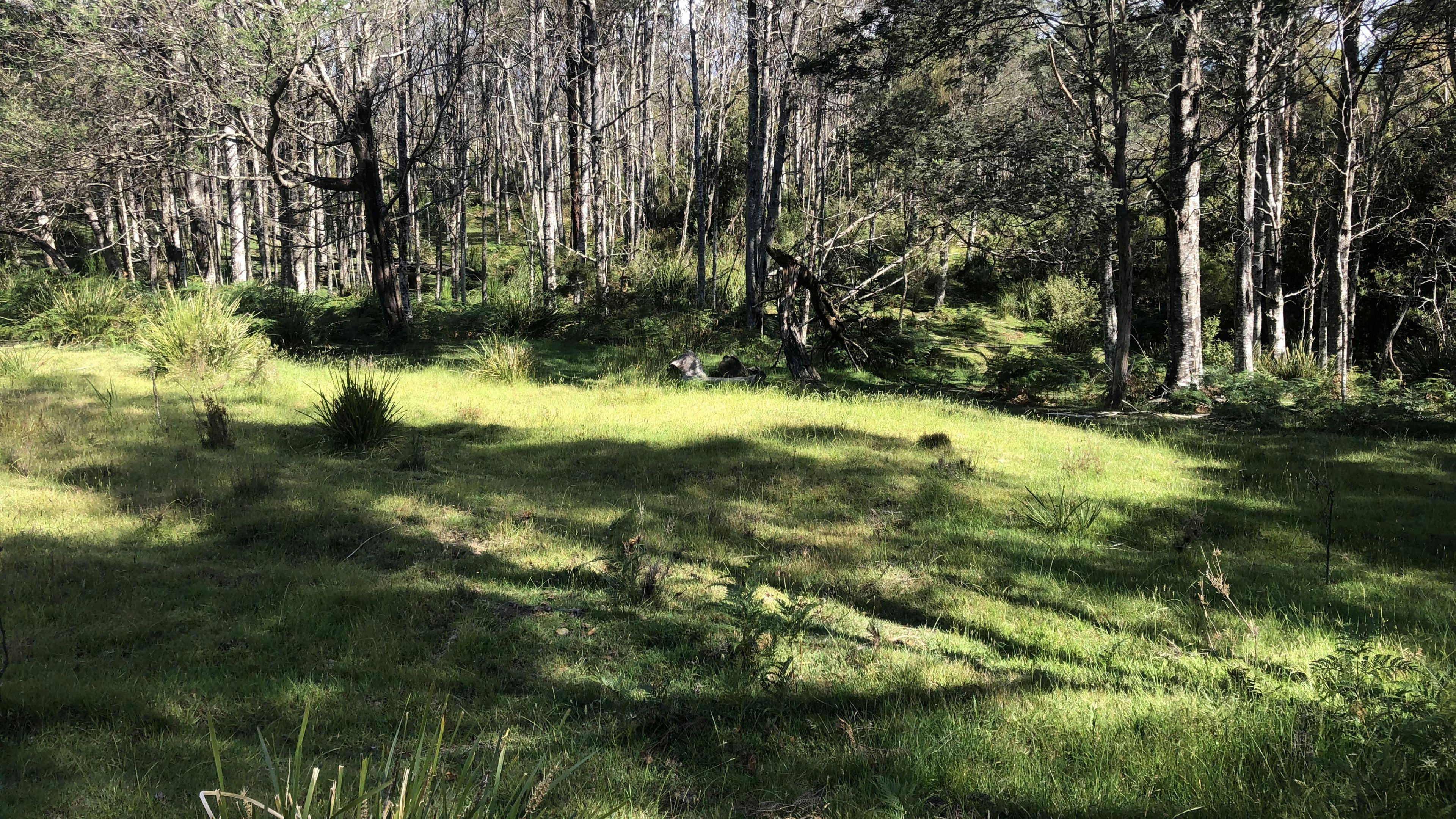 Penpol Park | All accommodation | Discover Tasmania